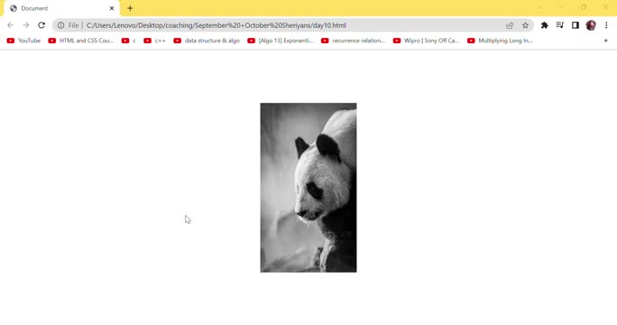Sana Ali on LinkedIn: Hello connections! created another hover effect ... Sana Ali on LinkedIn: Hello connections! created another hover effect ...