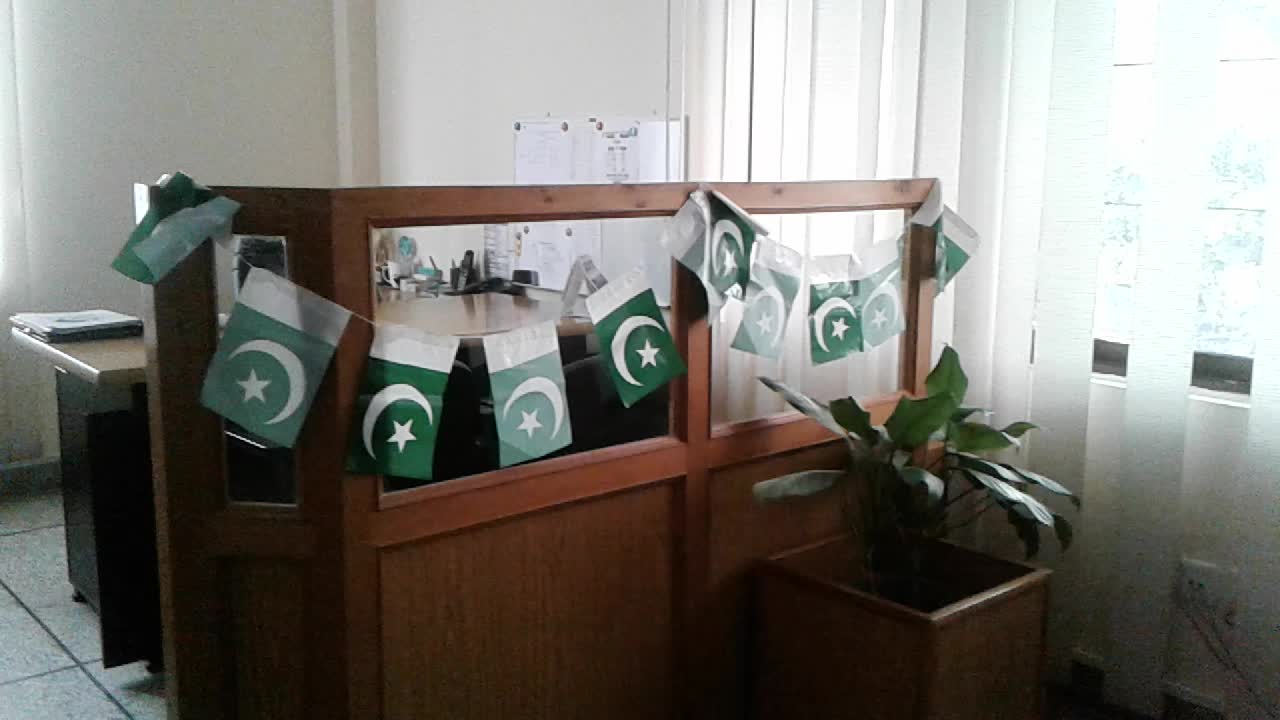 Fasiha Qaiser on LinkedIn: #freedom #azaadi #pakistan #decorated Fasiha Qaiser on LinkedIn: #freedom #azaadi #pakistan #decorated