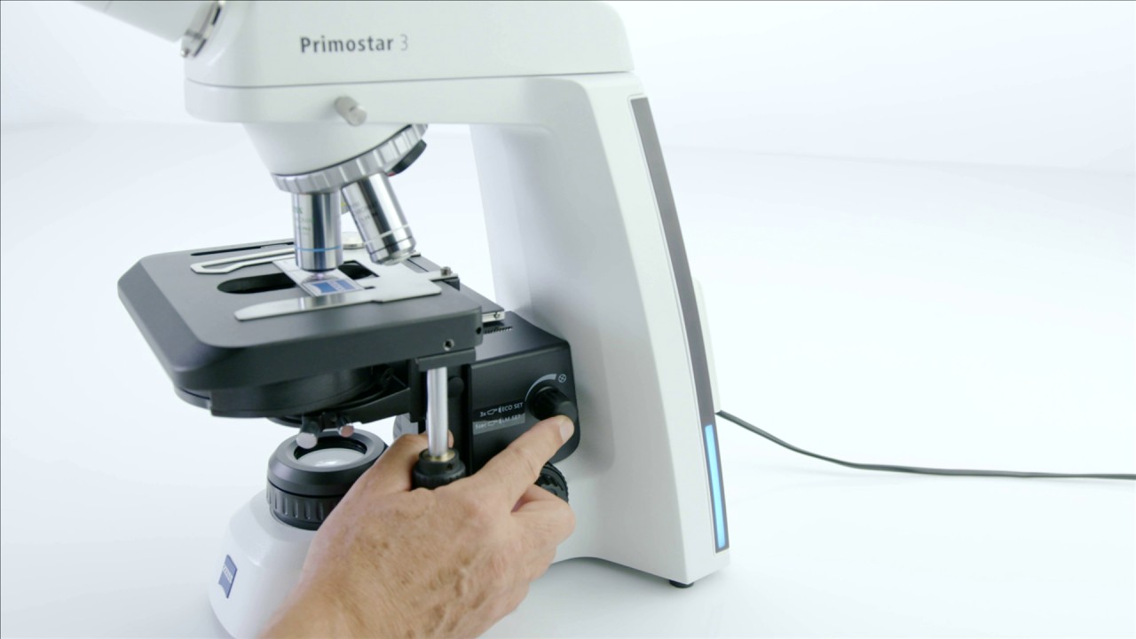 ZEISS Microscopy on LinkedIn: ZEISS Primostar 3 - Light Manager ZEISS Microscopy on LinkedIn: ZEISS Primostar 3 - Light Manager