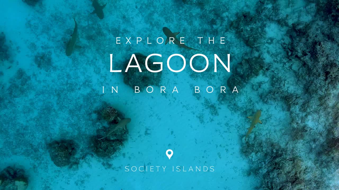 Bora Bora Romantic Tour on LinkedIn: Explore the lagoon of Bora Bora Bora Bora Romantic Tour on LinkedIn: Explore the lagoon of Bora Bora