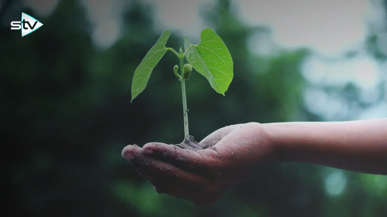 STV Group plc on LinkedIn: STV Growth Academy STV Group plc on LinkedIn: STV Growth Academy