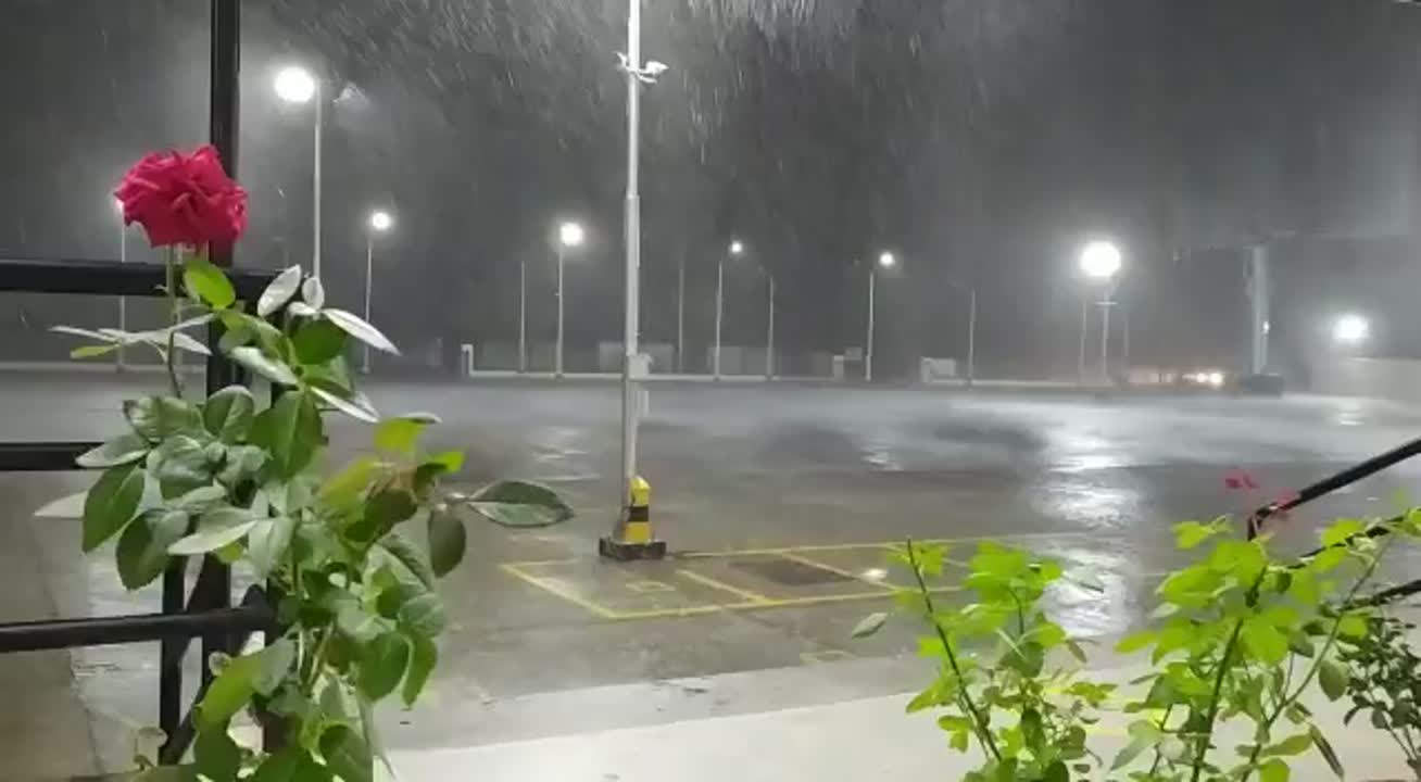 Pulkit Tyagi on LinkedIn: Rainyday Pulkit Tyagi on LinkedIn: Rainyday