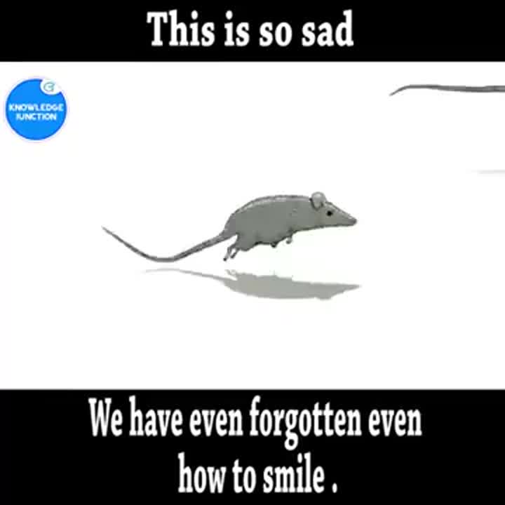 Devendra Upadhyay posted on LinkedIn Devendra Upadhyay posted on LinkedIn