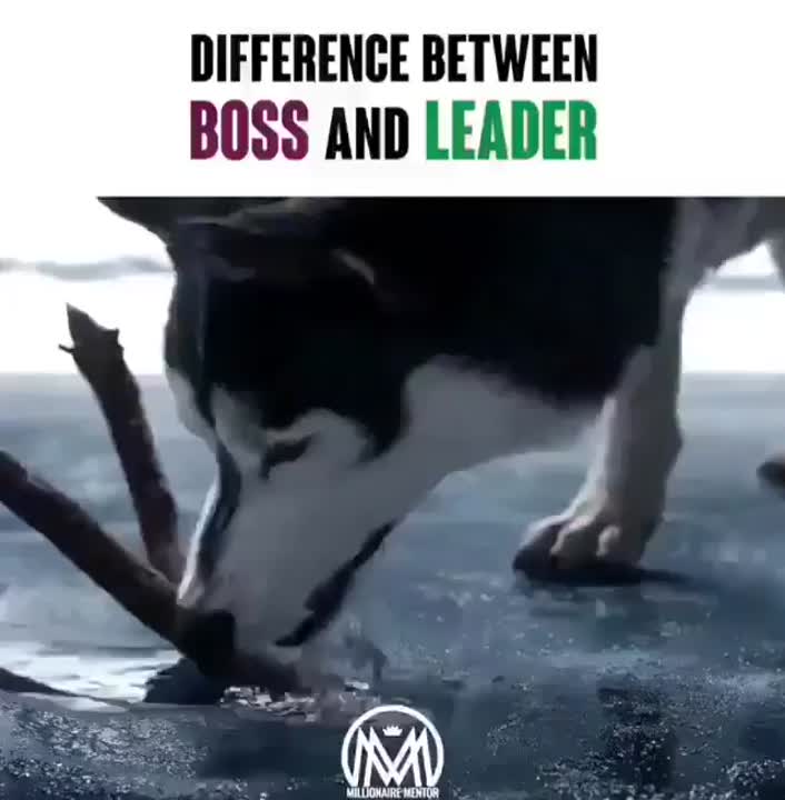 Manula Koswatte บน LinkedIn: Difference between Boss and Leader Manula Koswatte บน LinkedIn: Difference between Boss and Leader
