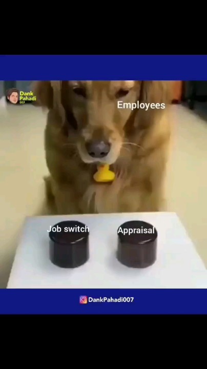 Ankur Raval on LinkedIn: #jobchange #apprisal #employees Ankur Raval on LinkedIn: #jobchange #apprisal #employees