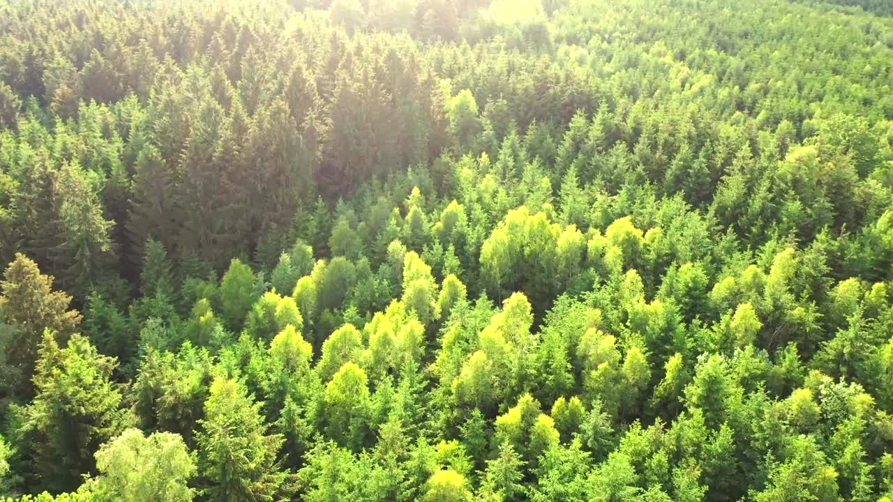 Jan Twete on LinkedIn: #vflwolfsburg #racetozero #unfccc Jan Twete on LinkedIn: #vflwolfsburg #racetozero #unfccc