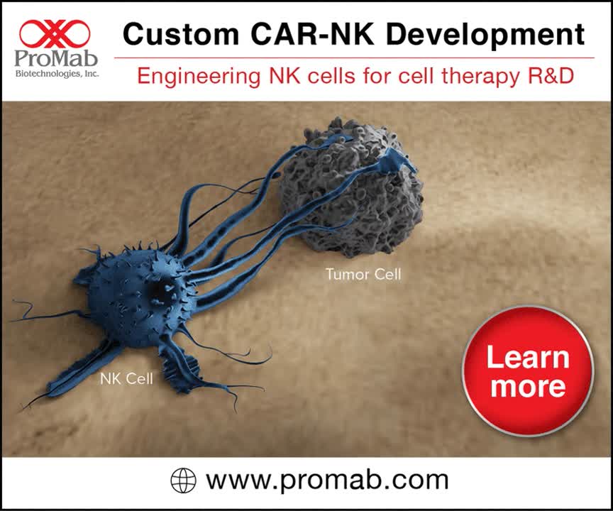 John Wu on LinkedIn: Custom CAR-NK Cell Development John Wu on LinkedIn: Custom CAR-NK Cell Development