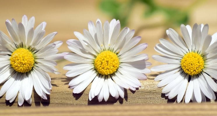 Practical reasons why SMBs should care what customers think… Practical reasons why SMBs should care what customers think…