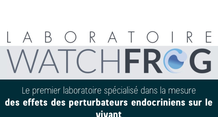 Tests perturbateurs endocriniens Tests perturbateurs endocriniens