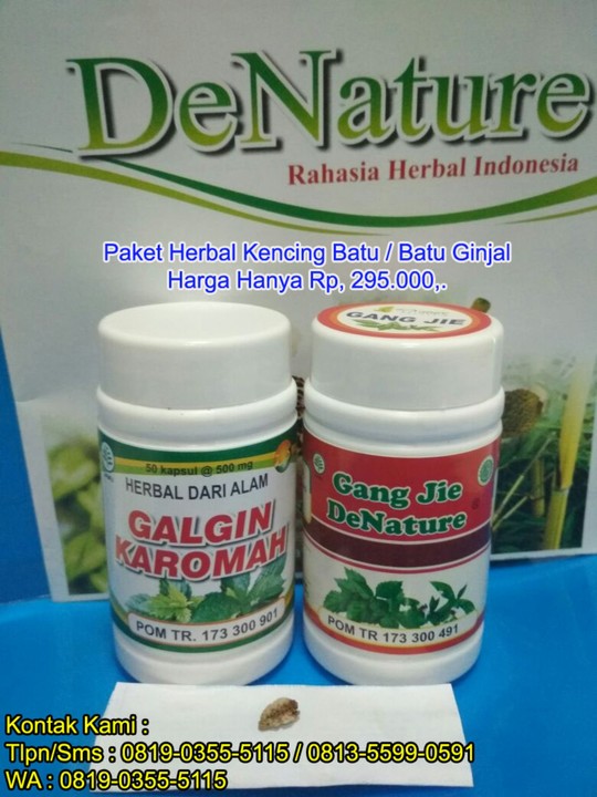 Banyak Jenis obat Tradisional batu Ginjal Resep Dokter Di Apotik Kimia ... Banyak Jenis obat Tradisional batu Ginjal Resep Dokter Di Apotik Kimia ...