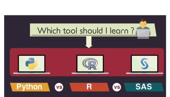 R vs. SAS vs. Python | Infographic R vs. SAS vs. Python | Infographic