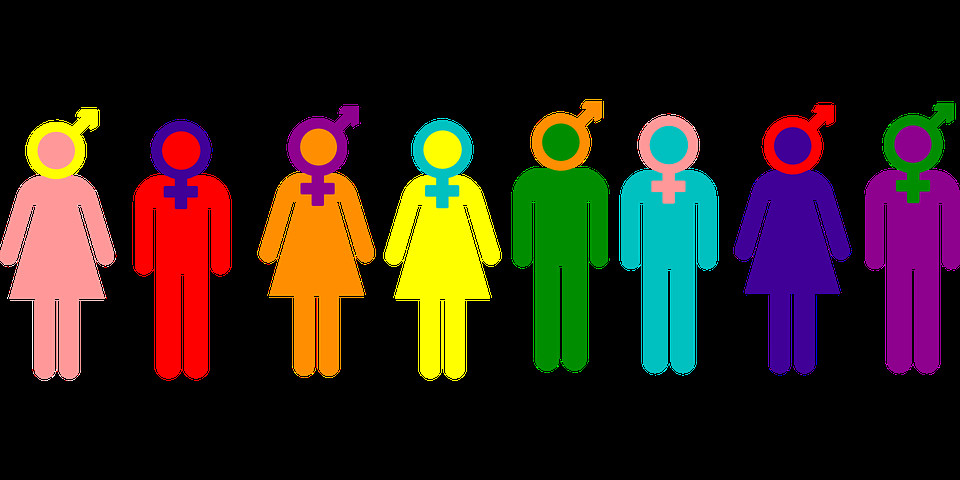 What is Gender? What is Gender?