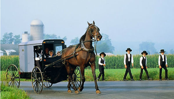What the Amish can Teach Us about Technology What the Amish can Teach Us about Technology