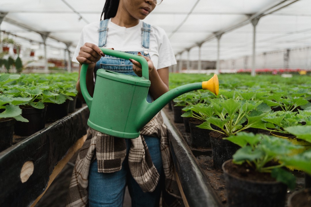 Advantages of small scale farming Advantages of small scale farming