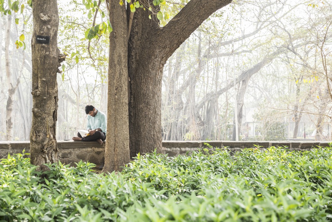 The power of investing in environmental and climate philanthropy The power of investing in environmental and climate philanthropy