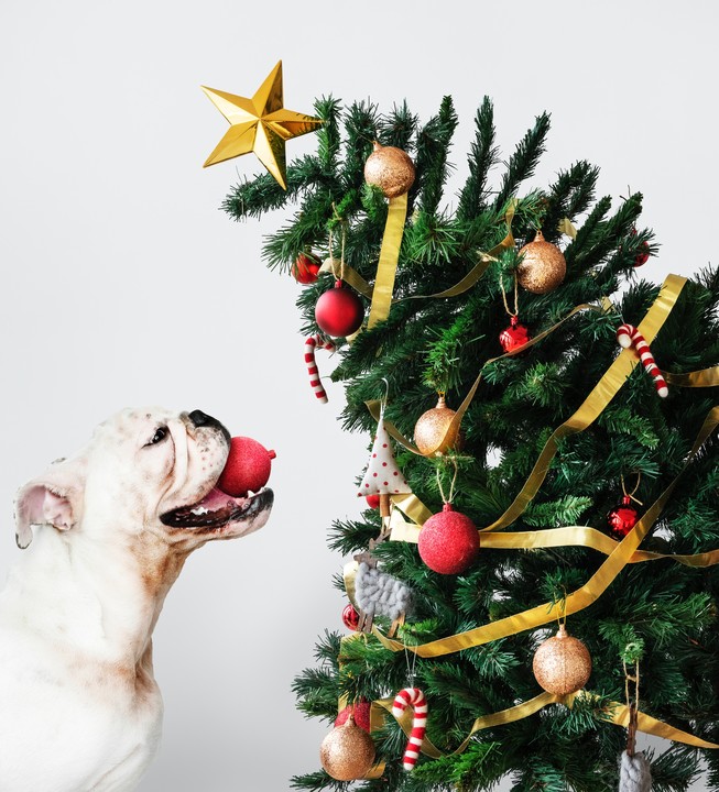 5 Productive Ways to Spend Your Holiday Break 5 Productive Ways to Spend Your Holiday Break