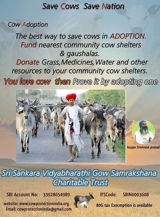 Ananya Bansal on LinkedIn: Benefits Of Feeding Cows That Will Bring ... Ananya Bansal on LinkedIn: Benefits Of Feeding Cows That Will Bring ...