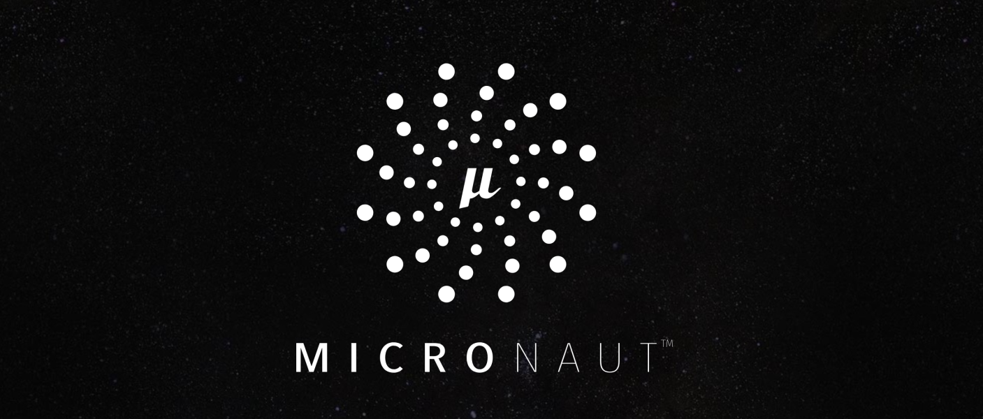 First steps building Microservices with Micronaut First steps building Microservices with Micronaut