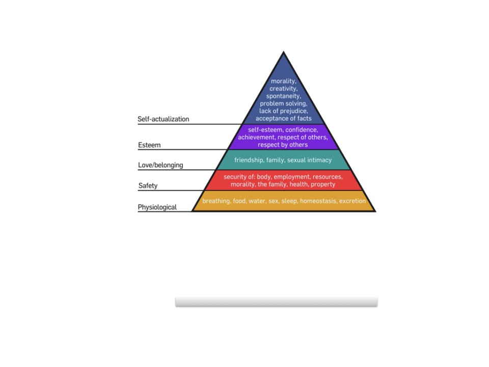 My observations: Filtered through Maslow's Model My observations: Filtered through Maslow's Model