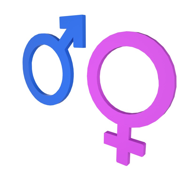 Gender Recognition by Faces Gender Recognition by Faces