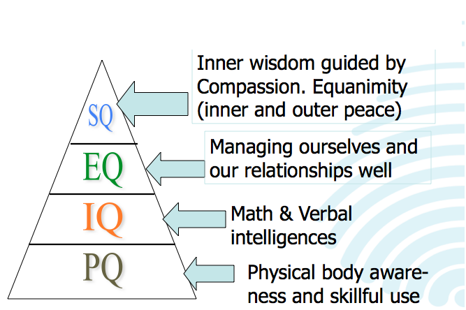 Understanding The Four Types Of Intelligence: IQ, EQ, SQ,, 58% OFF Understanding The Four Types Of Intelligence: IQ, EQ, SQ,, 58% OFF