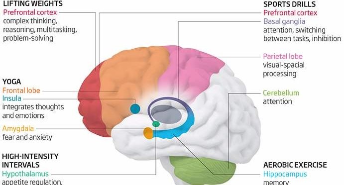 Exercise Physically Changes Your Brain Exercise Physically Changes Your Brain
