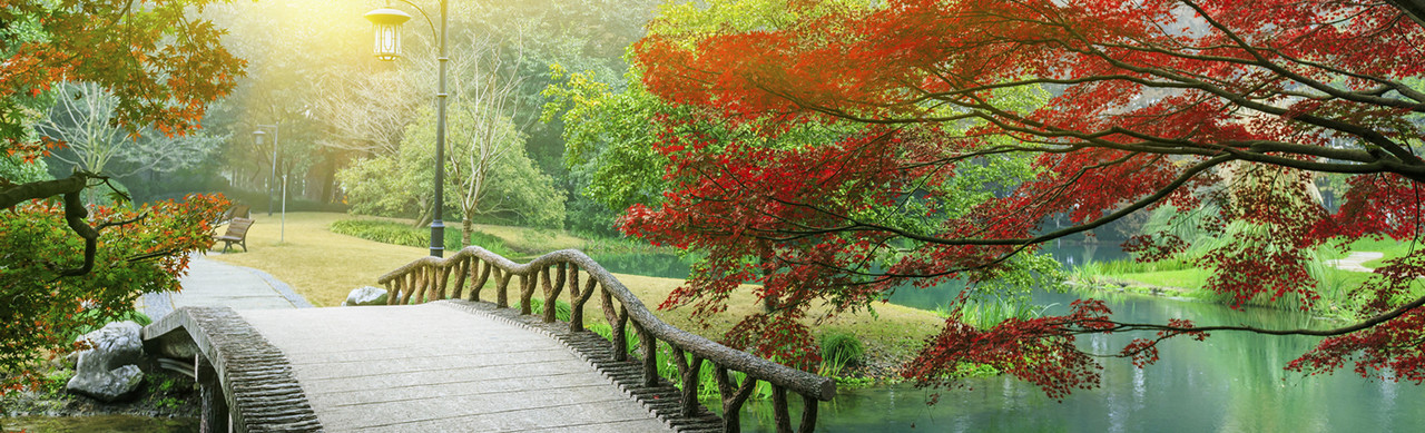 Does your employer offer adequate life insurance? Does your employer offer adequate life insurance?