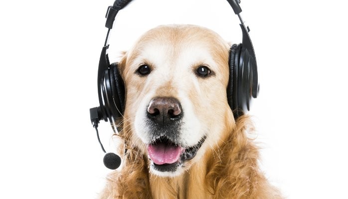 Top 9 Call Center Trends for 2016 Top 9 Call Center Trends for 2016