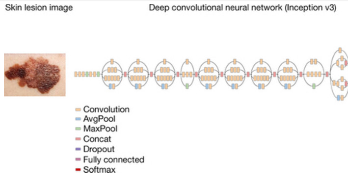 Dermatologist-level classification of skin cancer with deep neural networks Dermatologist-level classification of skin cancer with deep neural networks