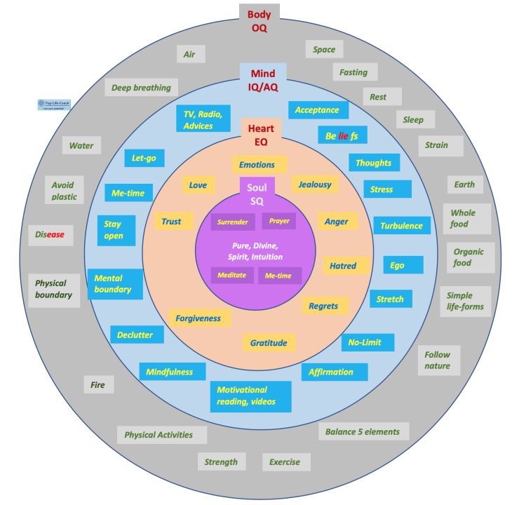 Understanding The Four Types Of Intelligence: IQ, EQ, SQ,, 58% OFF Understanding The Four Types Of Intelligence: IQ, EQ, SQ,, 58% OFF