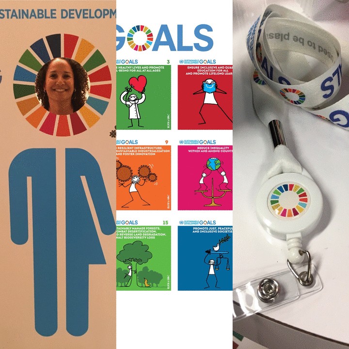 SDGs Funding: Riding the Cryptocurrency Wave SDGs Funding: Riding the Cryptocurrency Wave