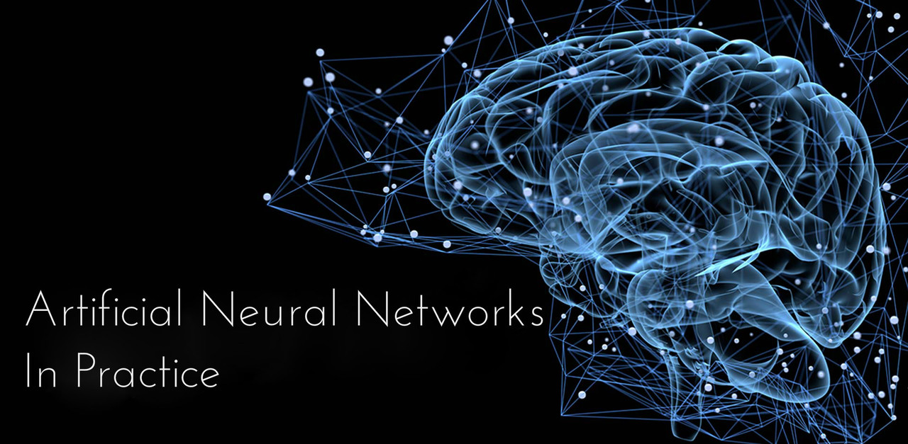 Artificial Neural Networks in Practice Artificial Neural Networks in Practice