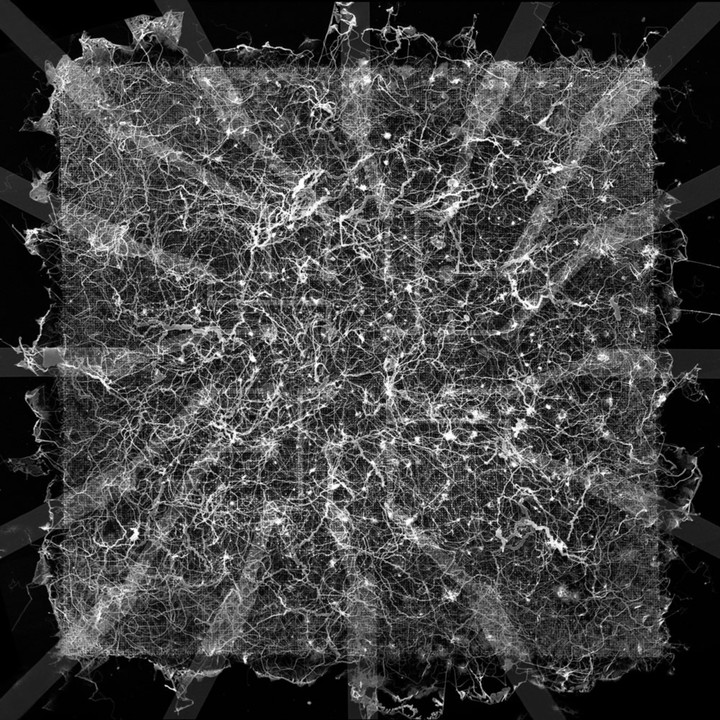 Disordered silver nanowire mesh mimics brain synapses Disordered silver nanowire mesh mimics brain synapses