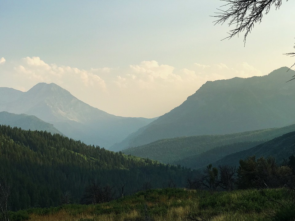 An Unexpected Run & Lessons Learned An Unexpected Run & Lessons Learned