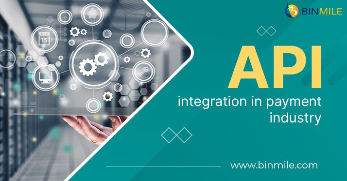 Unique Features of Payment API Flexibility from a Developer’s Perspective Unique Features of Payment API Flexibility from a Developer’s Perspective