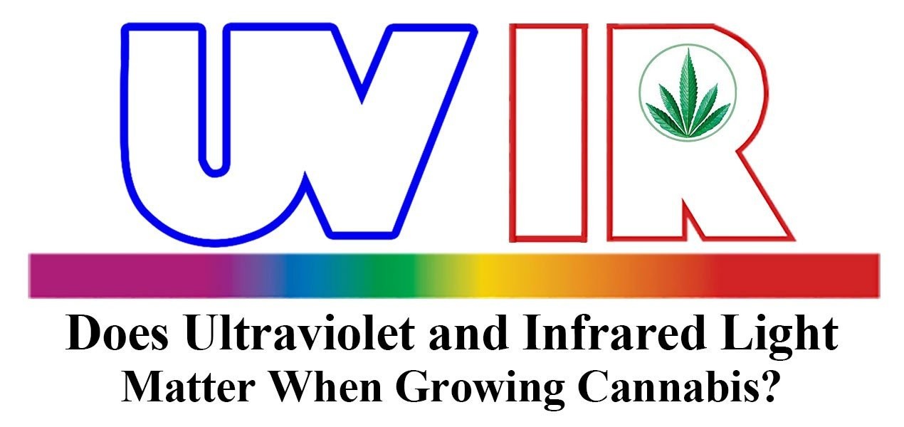 Does Ultraviolet and Infrared Light Matter When Growing Cannabis? Does Ultraviolet and Infrared Light Matter When Growing Cannabis?