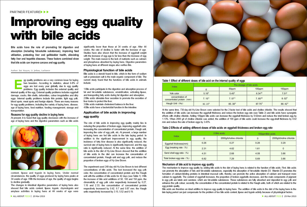 Bile acids improve eggshell quality Bile acids improve eggshell quality