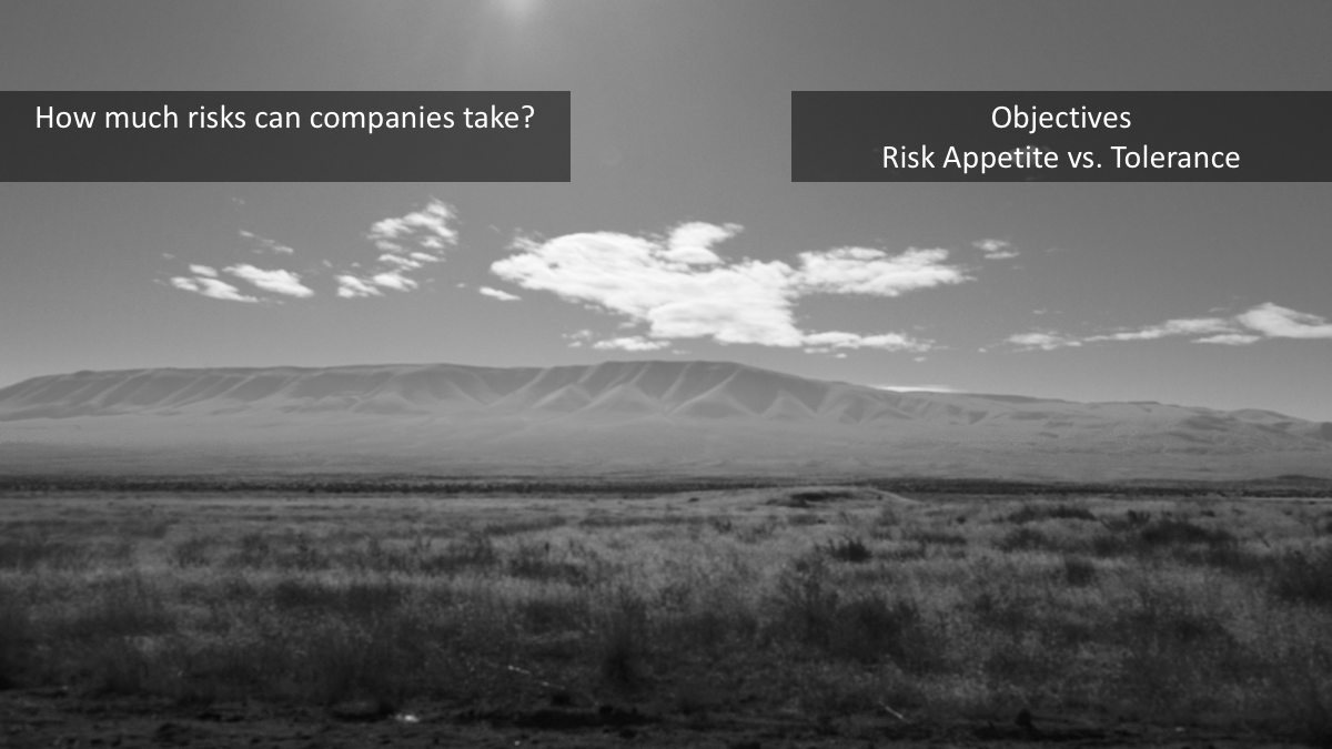 Why Setting Risk Appetite and Risk Tolerance Levels Can Help Firms ... Why Setting Risk Appetite and Risk Tolerance Levels Can Help Firms ...