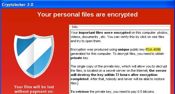 What you need to know about CryptoLocker What you need to know about CryptoLocker