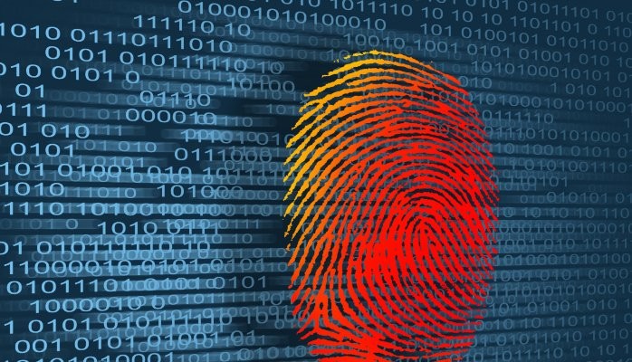 Differences between eDiscovery & Forensics: Differences between eDiscovery & Forensics: