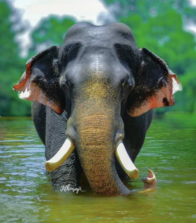 How do we configure PostgreSQL for performance in MinervaDB How do we configure PostgreSQL for performance in MinervaDB