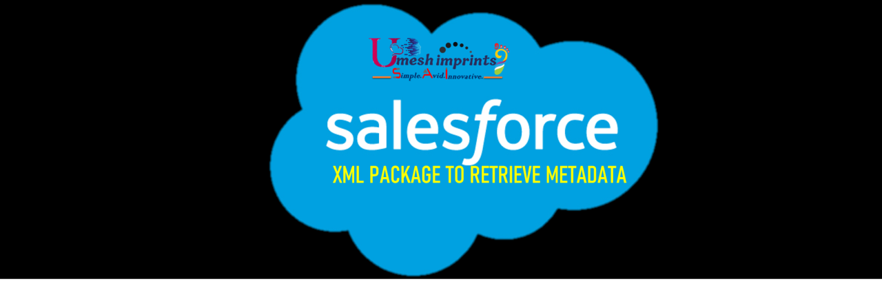 XML PACKAGE TO RETRIEVE METADATA FROM ORG XML PACKAGE TO RETRIEVE METADATA FROM ORG