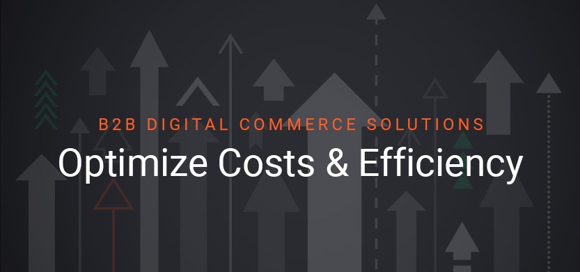 B2B digital commerce solutions optimize costs & efficiency B2B digital commerce solutions optimize costs & efficiency