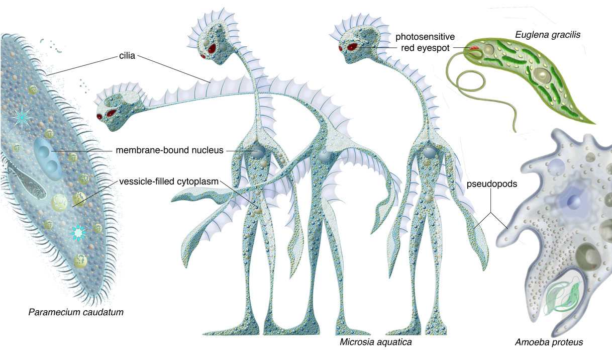 Putting the Science in Science Fiction Putting the Science in Science Fiction