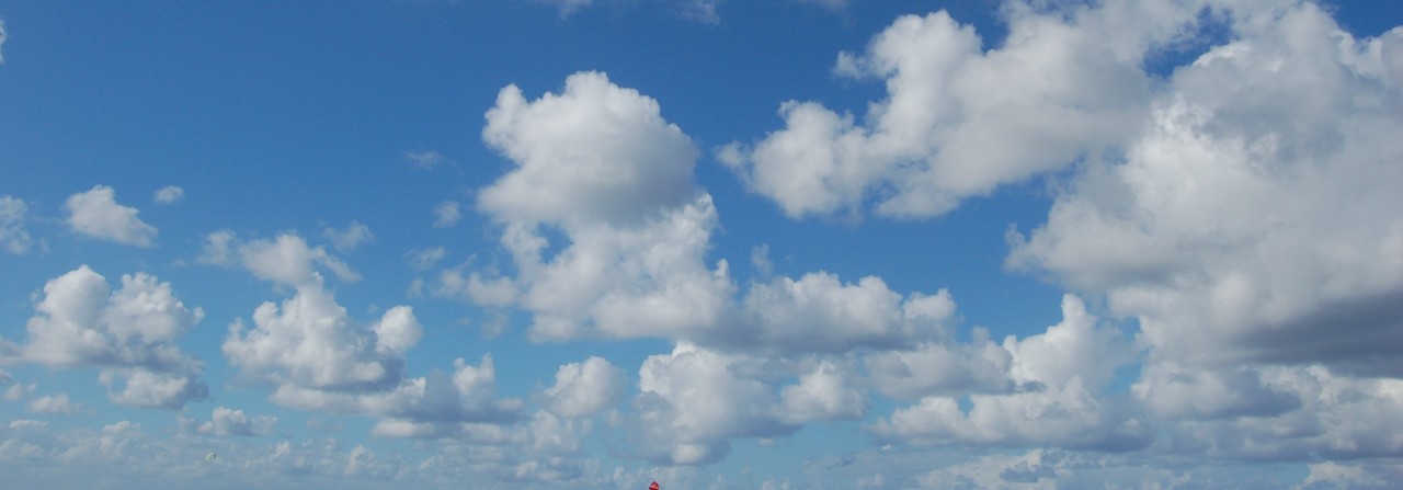 Infor M3 customer and considering Multi-Tenant (MT) cloud in the future? Infor M3 customer and considering Multi-Tenant (MT) cloud in the future?