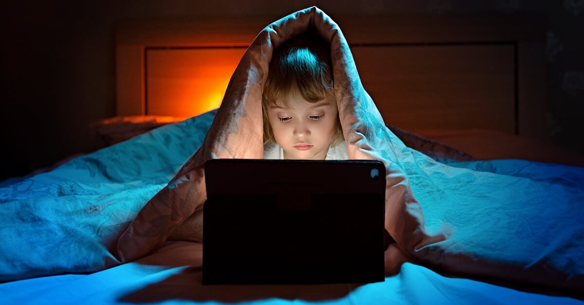 Como prevenir-se dos principais perigos da internet Como prevenir-se dos principais perigos da internet