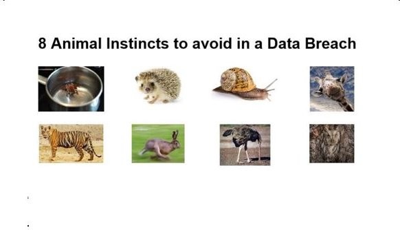 8 Animal Instincts to avoid in a Data Breach 8 Animal Instincts to avoid in a Data Breach