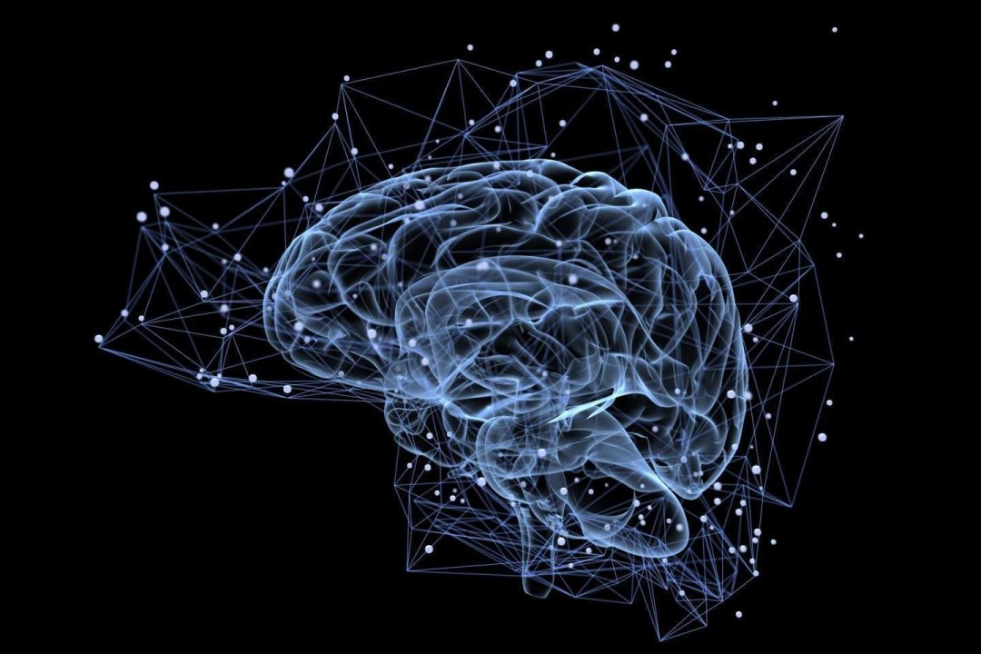Apa Itu Neural Network Apa Itu Neural Network