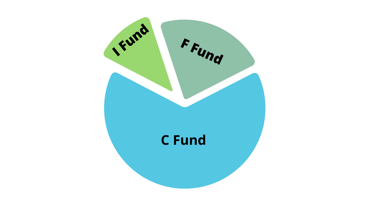 Diversification: Reducing The Risk In Your TSP Diversification: Reducing The Risk In Your TSP