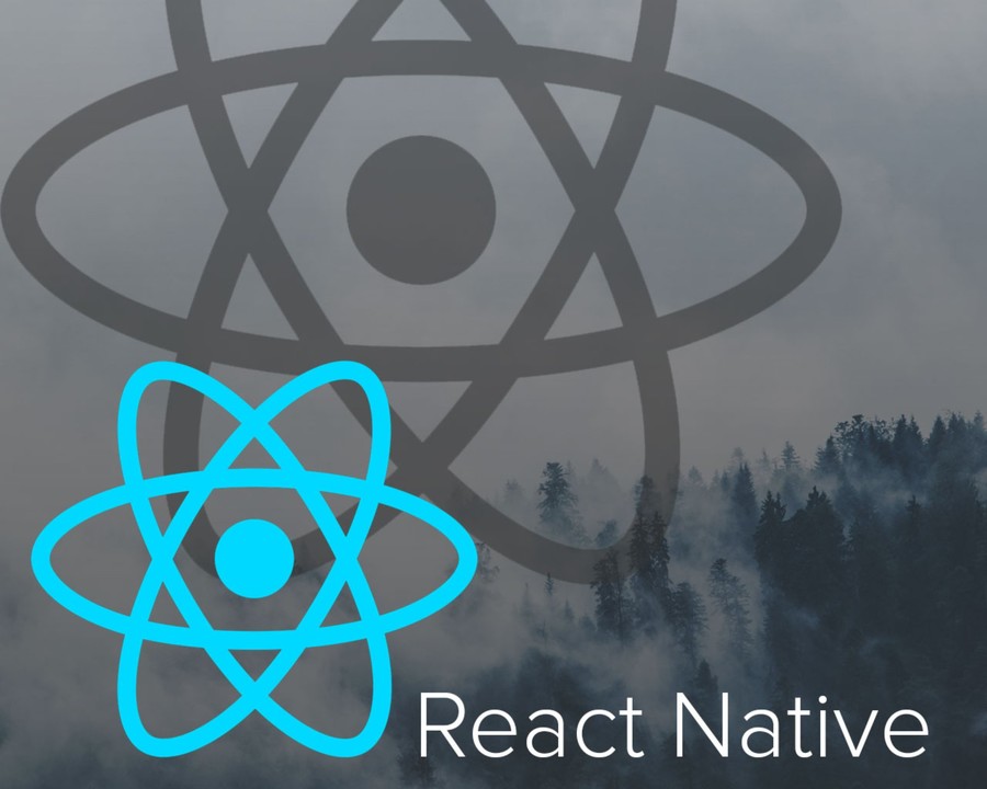 Pourquoi nous utilisons React Native Pourquoi nous utilisons React Native